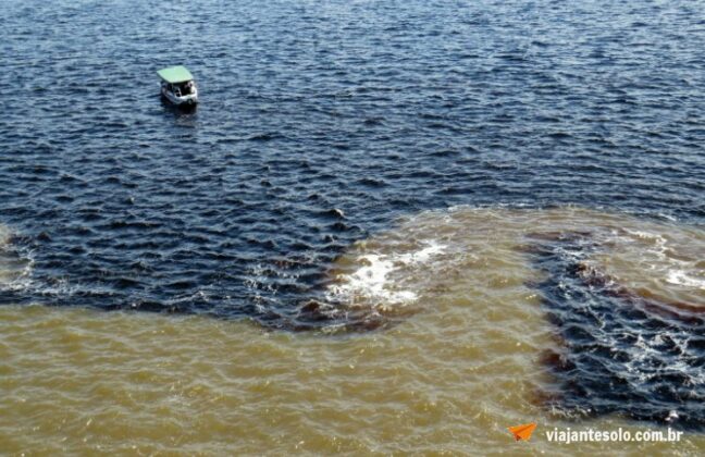 Manaus: o famoso encontro das águas dos Rios Negro e Solimões ...