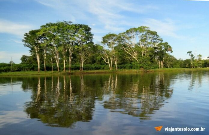 Iberostar Grand Amazon: Conheça a Amazônia a bordo do cruzeiro