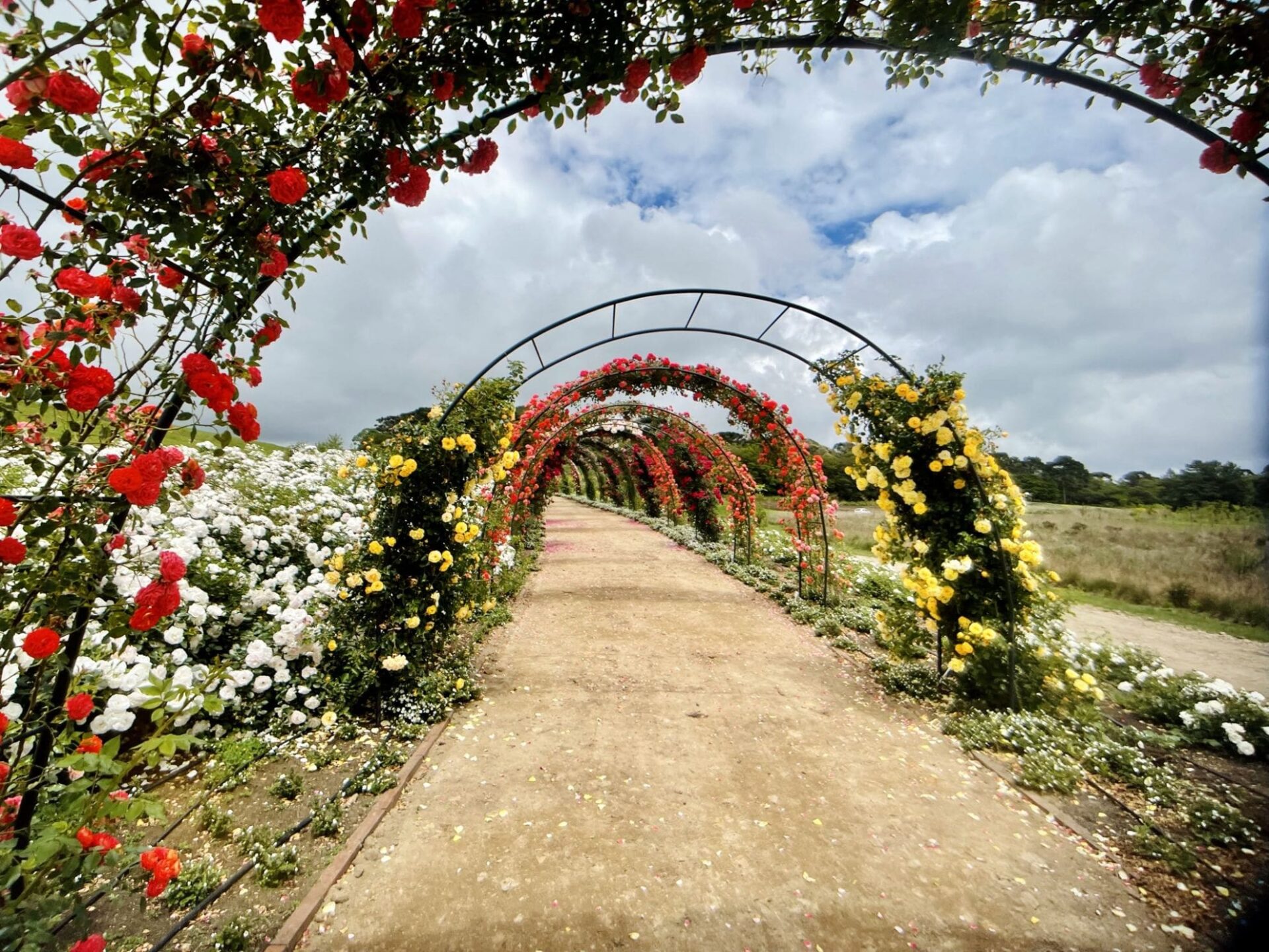 Mátria Parque de Flores - Serra Gaúcha por Denise Tonin